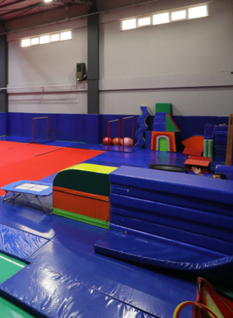 izofoam rebonded foam industry